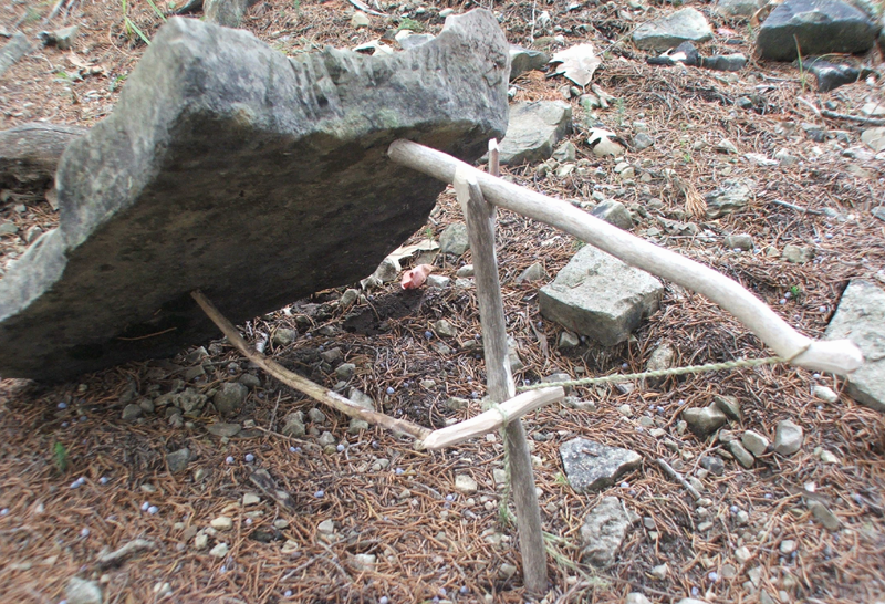 Events • Blackthorn-USA