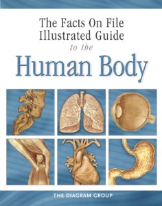 Illustrated Guide To The Human Body (8 Volume Set) | Blackthorn-USA